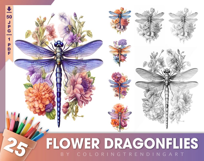 25 Flower Dragonflies Grayscale Coloring Pages for Adults - Etsy