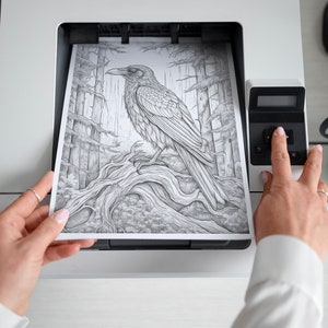25 Amazing Birds Grayscale Coloring Pages for Adults, Kids, Instant ...