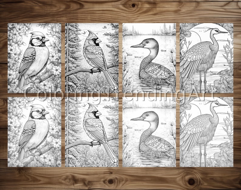 25 Amazing Birds Grayscale Coloring Pages for Adults Kids - Etsy
