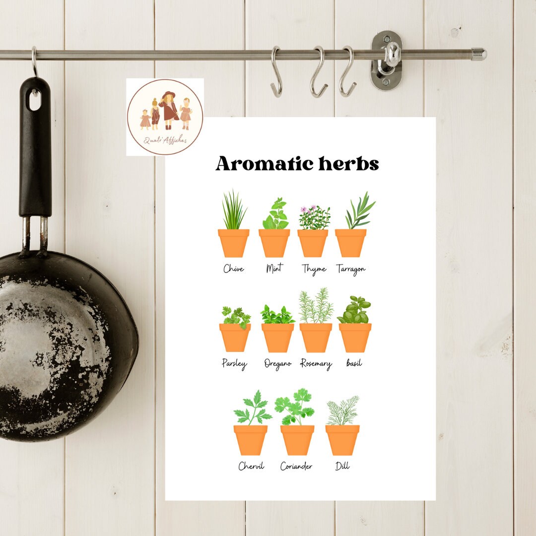 Decorative Kitchen Poster, Decorative Aromatic Herbs Poster, Aromatics ...