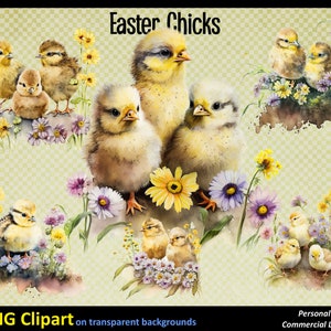 Watercolor Spring Chicks, Floral Easter Decor, Clipart Set, Digital ...