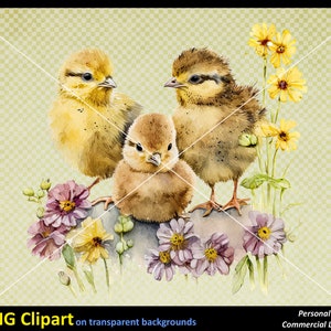 Watercolor Spring Chicks, Floral Easter Decor, Clipart Set, Digital ...