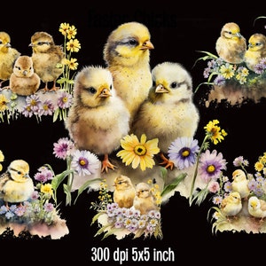 Watercolor Spring Chicks, Floral Easter Decor, Clipart Set, Digital ...