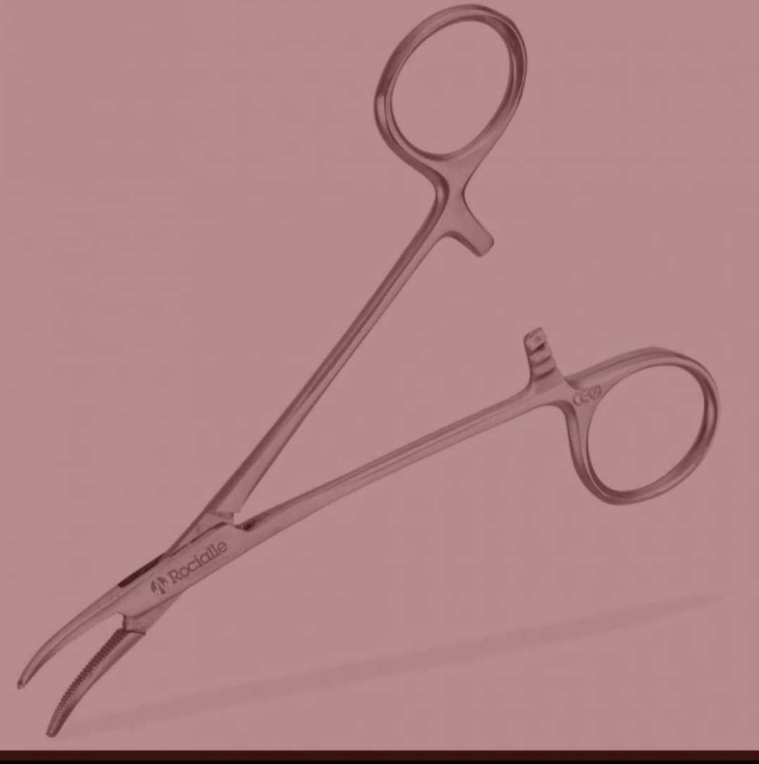 Curved Mosquito X4 Veterinary Forceps Surgical Quality - Etsy