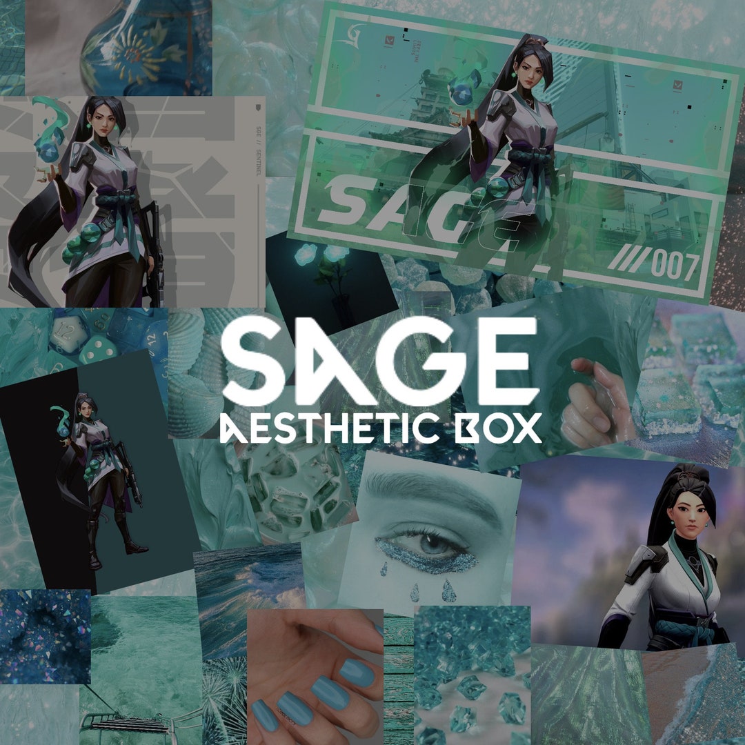 Sage Valorant Mystery Box - Etsy