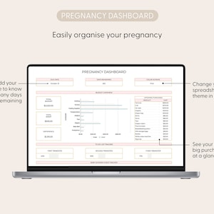 Pregnancy Planner Spreadsheet, Digital Baby Planning, Baby Budget ...