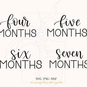 13 Baby Milestone SVG Bundle | PNG | DXF | Baby Gift | Baby Milestone ...