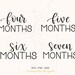 13 Baby Milestone SVG Bundle, Baby Milestone Discs, First Birthday ...