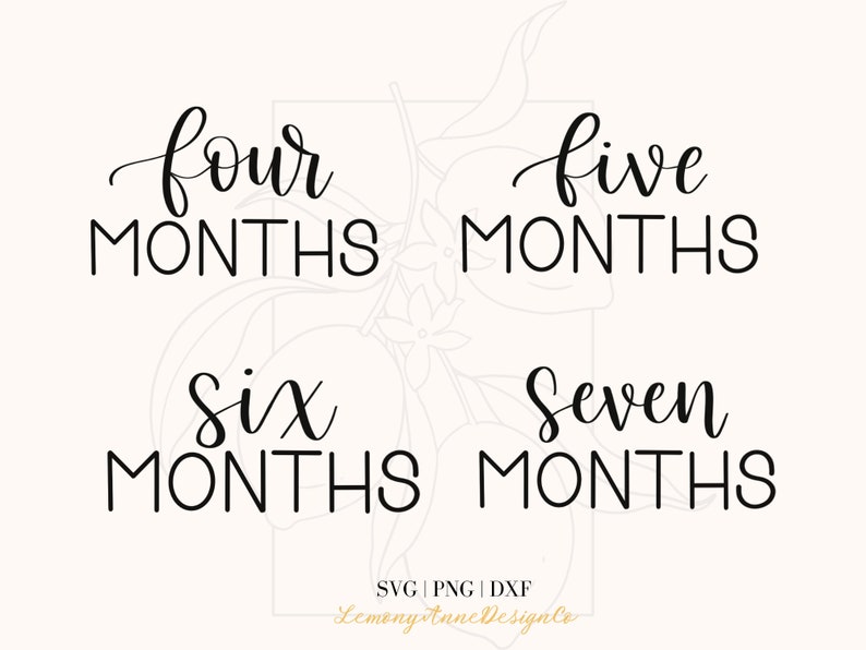 13 Baby Milestone SVG Bundle | PNG | DXF | Baby Gift | Baby Milestone ...