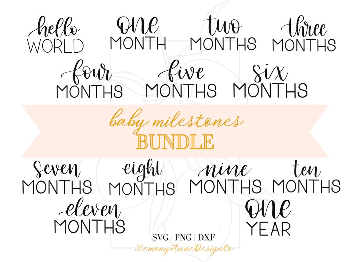13 Baby Milestone SVG Bundle PNG DXF Baby Gift Baby Milestone Discs ...