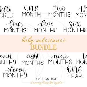 13 Baby Milestone SVG Bundle | PNG | DXF | Baby Gift | Baby Milestone ...
