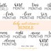 13 Baby Milestone SVG Bundle PNG DXF Baby Gift Baby Milestone Discs ...