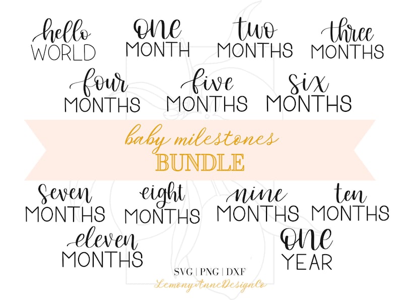 13 Baby Milestone SVG Bundle | PNG | DXF | Baby Gift | Baby Milestone ...