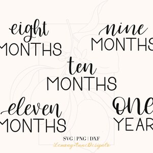 13 Baby Milestone SVG Bundle | PNG | DXF | Baby Gift | Baby Milestone ...