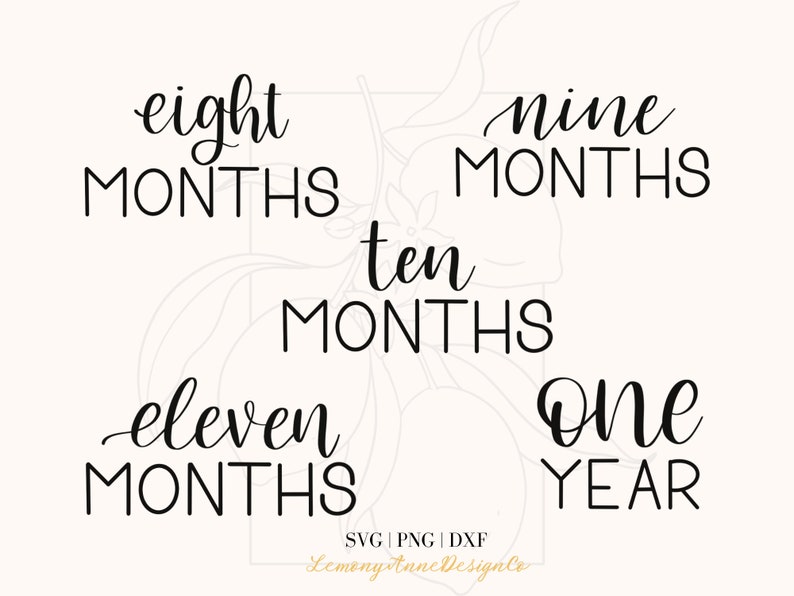 13 Baby Milestone SVG Bundle | PNG | DXF | Baby Gift | Baby Milestone ...