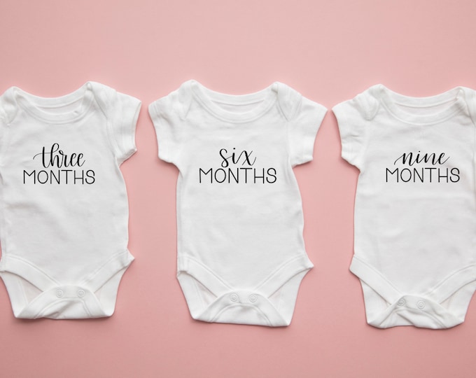 13 Baby Milestone SVG Bundle PNG DXF Baby Gift Baby Milestone Discs ...