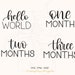13 Baby Milestone SVG Bundle, Baby Milestone Discs, First Birthday ...
