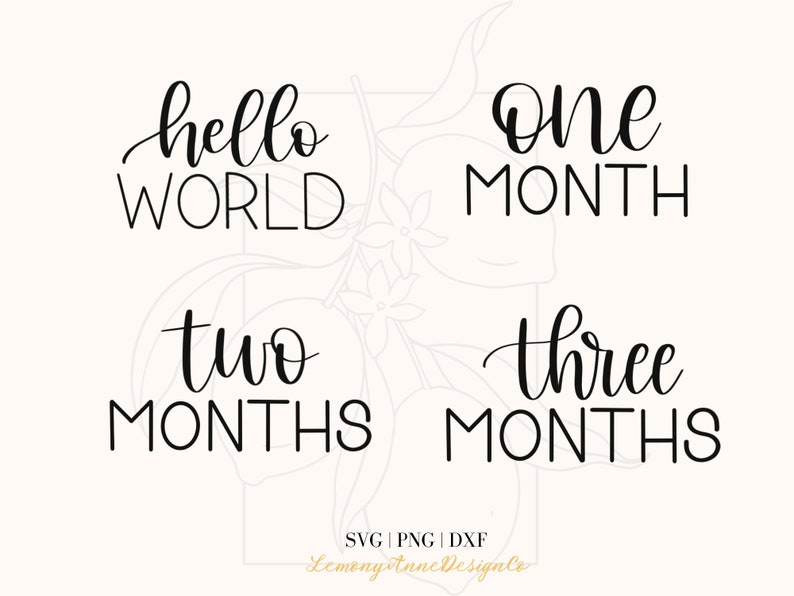 13 Baby Milestone SVG Bundle | PNG | DXF | Baby Gift | Baby Milestone ...