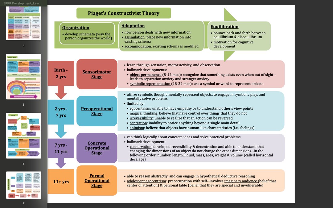 EPPP Developmental and Learning Psychology Visual Guide - Etsy