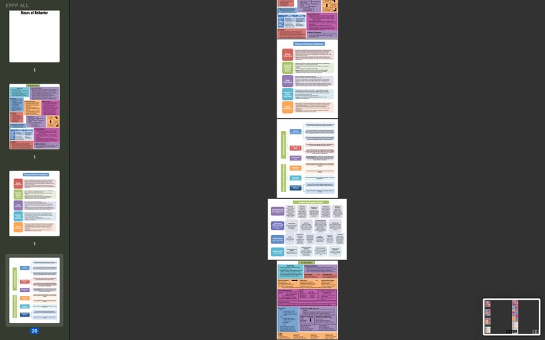 Complete Visual Study Guide - EPPP - Etsy