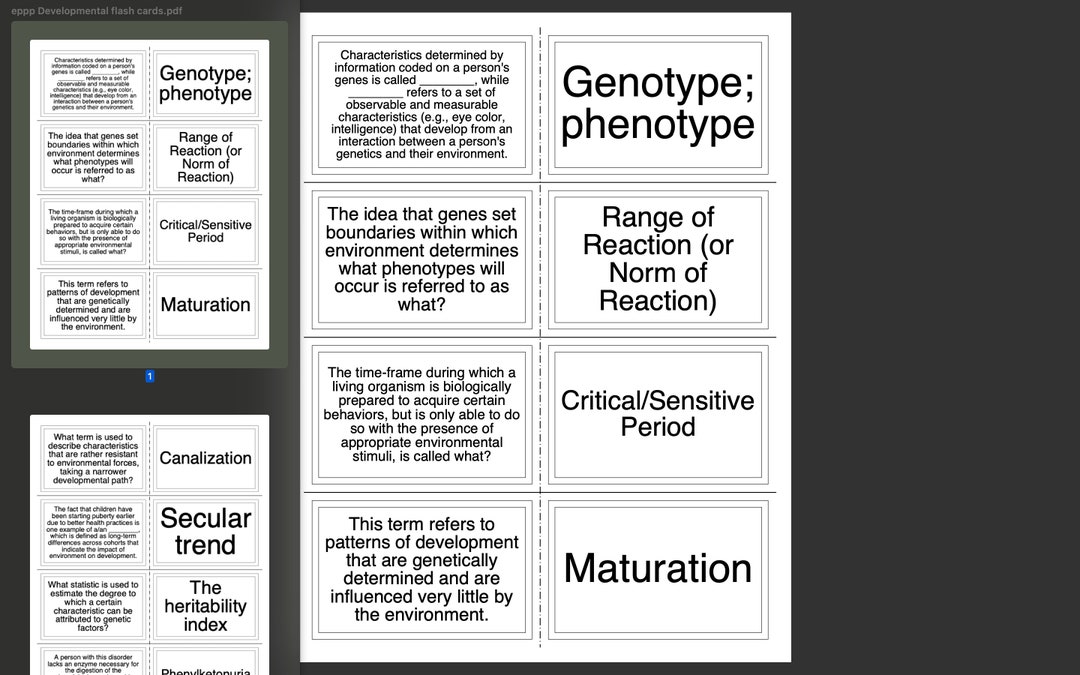 EPPP- Developmental/lifespan Flash Cards - Etsy