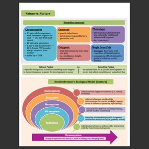 EPPP Developmental and Learning Psychology Visual Guide - Etsy
