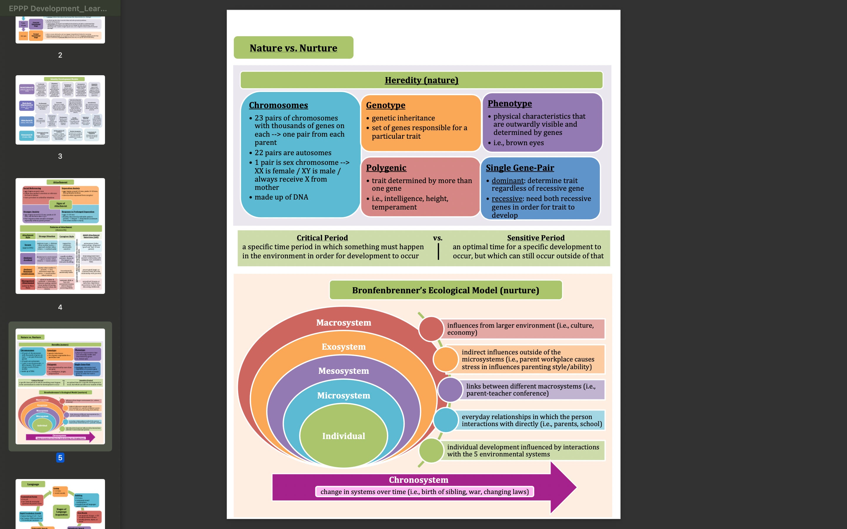 EPPP Developmental and Learning Psychology Visual Guide - Etsy