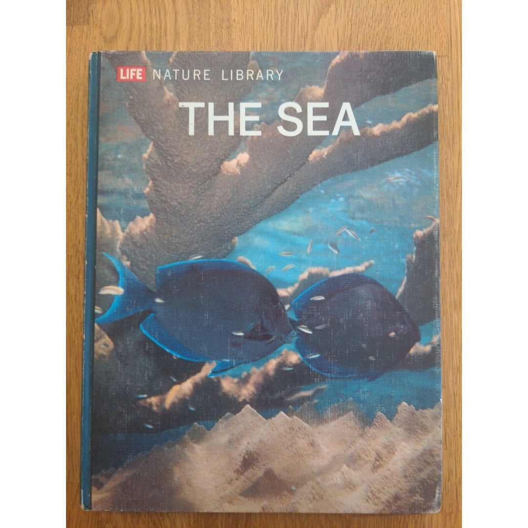 LIFE Nature Library: the Sea Vintage 1969 Hardcover - Etsy