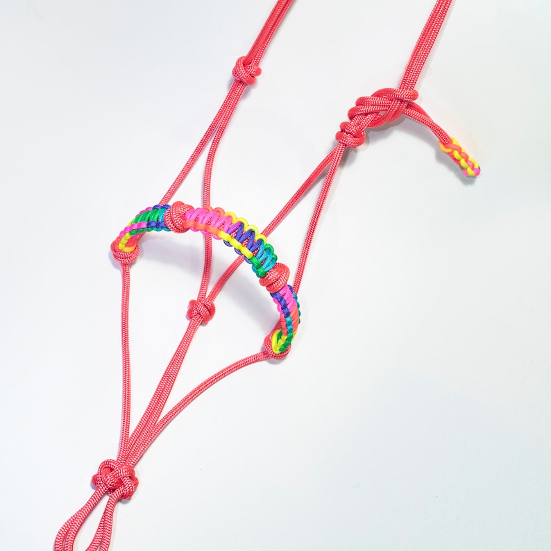 Horse Braided Rope Halter | Custom Made - Etsy