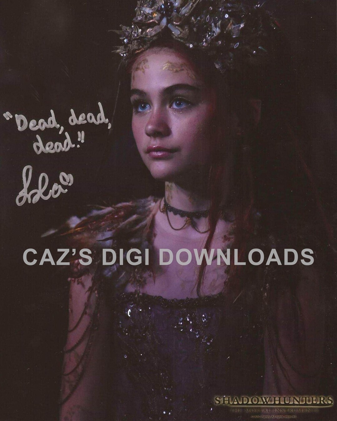 Lola Flanery Shadowhunters The 100 10x8 Autograph Photo Print Print