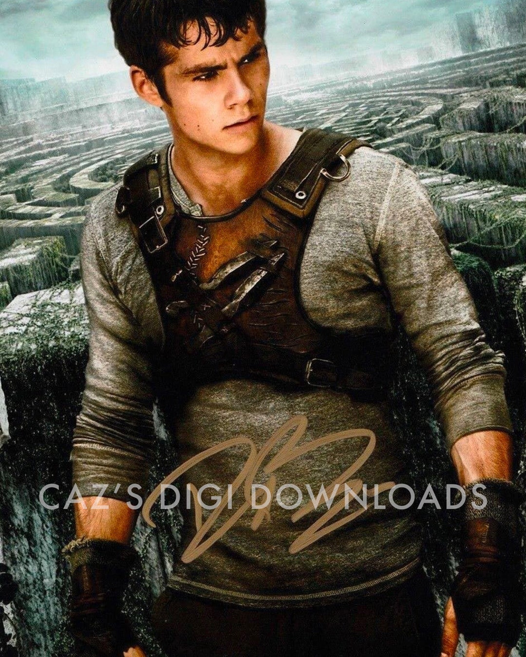 The Maze Runner Teen Wolf Dylan O'brien 10x8 Autograph Photo Print ...