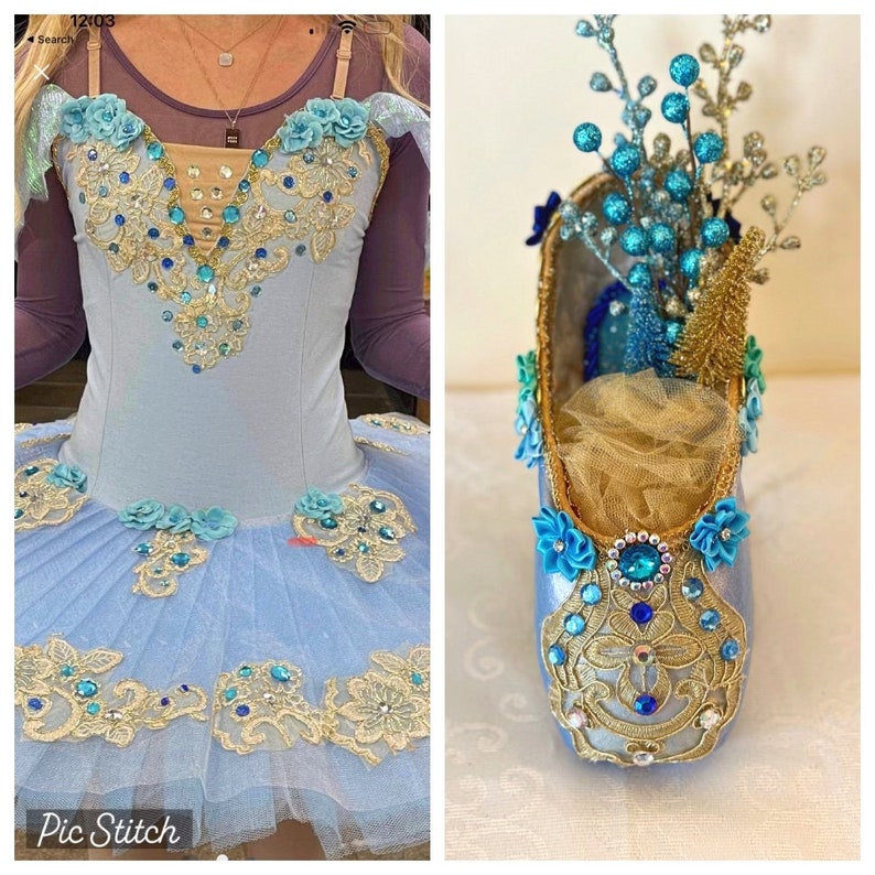 COSTUME MATCH Decorated Pointe Shoe Ballet Variations, Recital ...