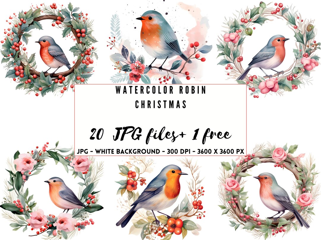 Robin Christmas Robin JPG Clipart Bird Robin 20 High Quality - Etsy UK