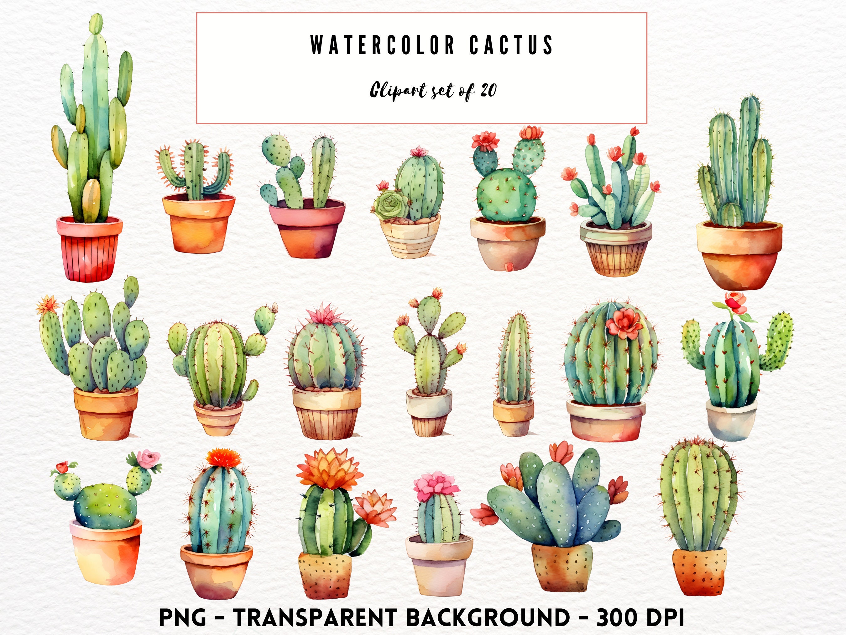Watercolor Cactus Clipart Succulent Clipart PNG Cacti Clip Art Home ...