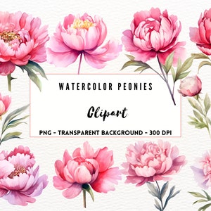 Watercolor Pink Peony Clipart Botanical Peony Flowers Clipart ...