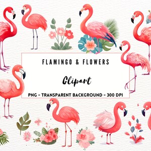 Pink Flamingo Clipart Bundle Tropical Birds With Flowers - Etsy