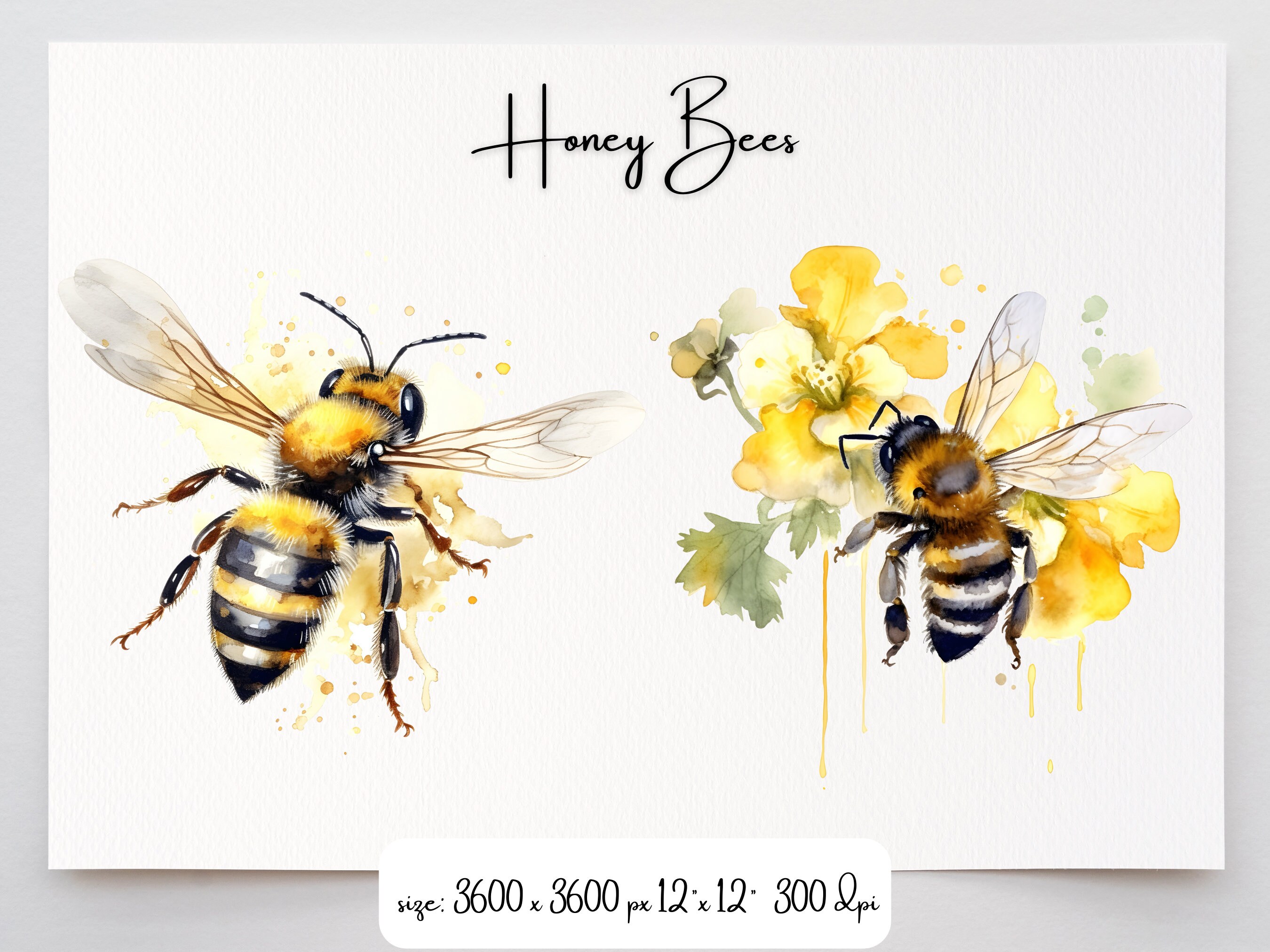 Honey Bees Watercolor Clipart, Bumble Bees Clipart, Honey Bees Clipart ...