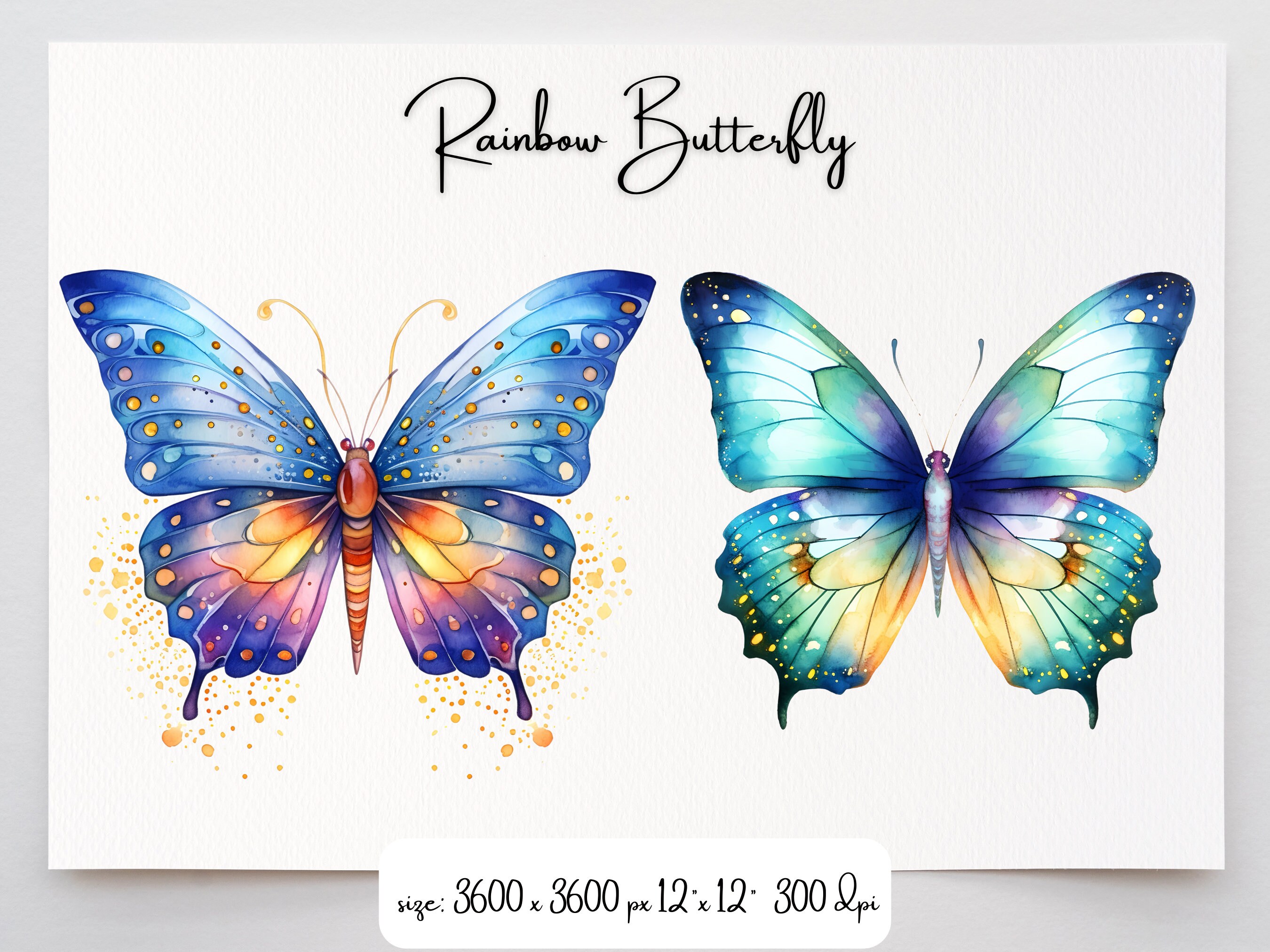 Rainbow Butterfly Clipart, Butterfly PNG, High Quality Butterfly Clip ...