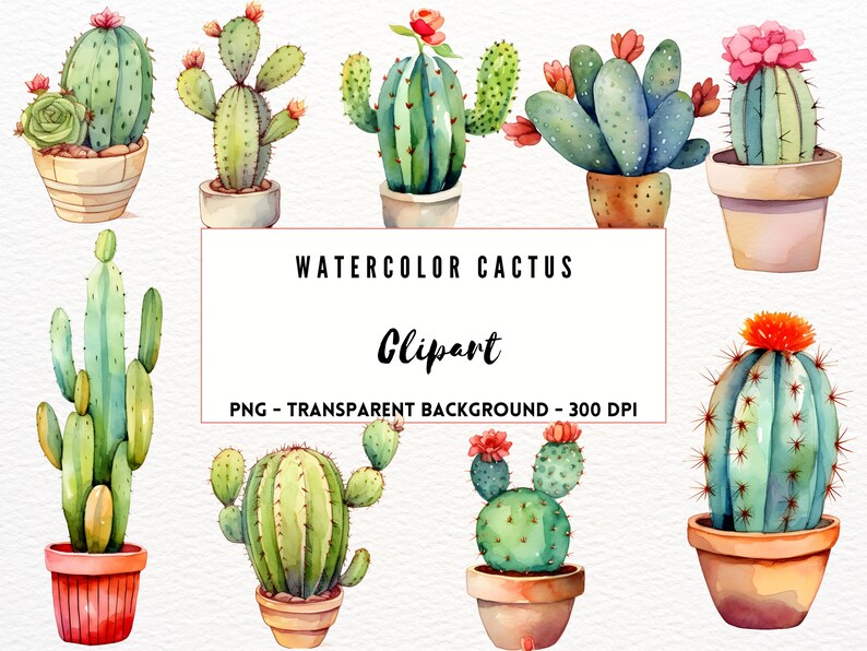 Watercolor Cactus Clipart Succulent Clipart PNG Cacti Clip Art Home ...