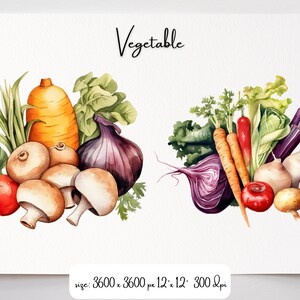 Garden Vegetables PNG Bundle, Vegetables Clipart, Nature PNG Farm ...