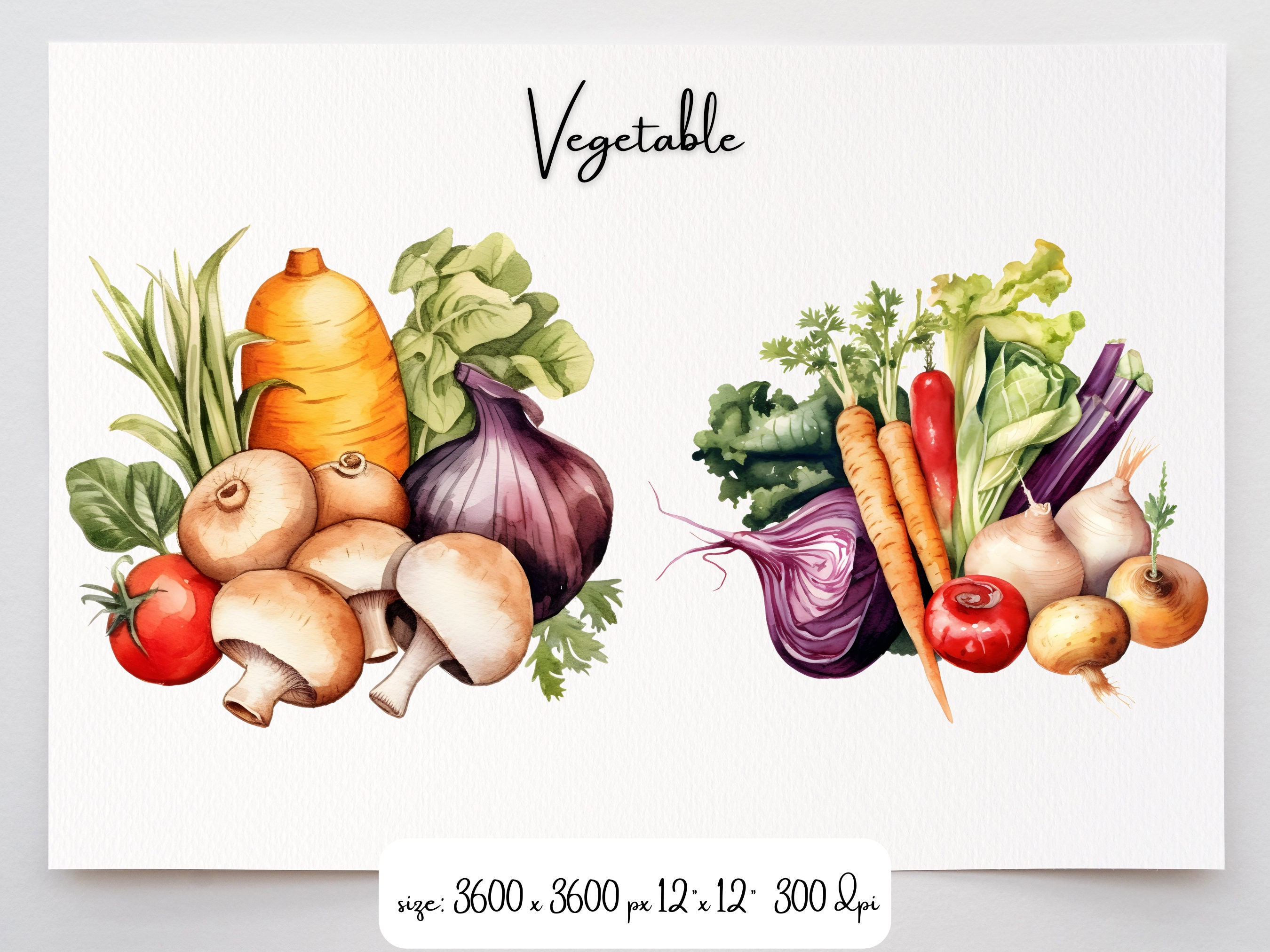 Garden Vegetables PNG Bundle, Vegetables Clipart, Nature PNG Farm ...