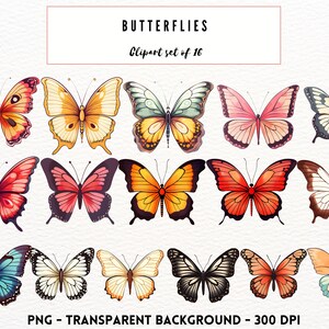 Butterflies Clipart Bundle Painted Butterfly Clipart Colorful Butterfly ...