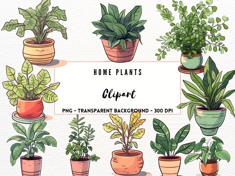 Home Plants Clipart Potted Plants Clipart Watercolor Home Plant PNG ...