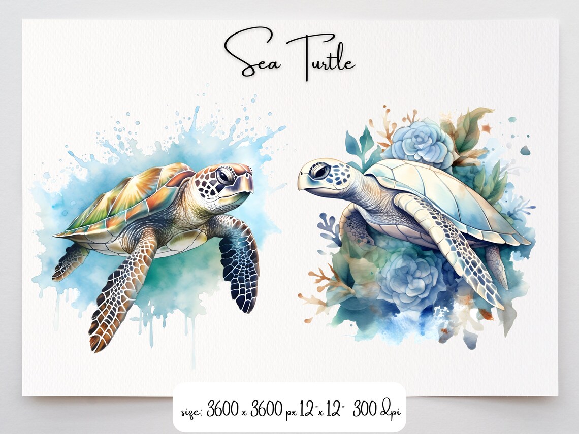Sea Turtle Clipart, Turtle Png Bundle, Colorful Turtle, Digital ...