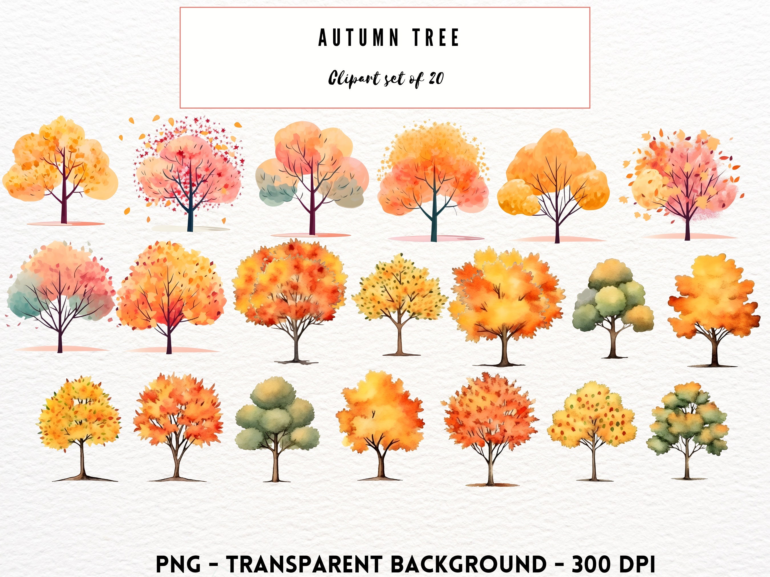 Autumn Clipart Png Fall Tree Clipart Watercolor Tree Clipart Bundle ...