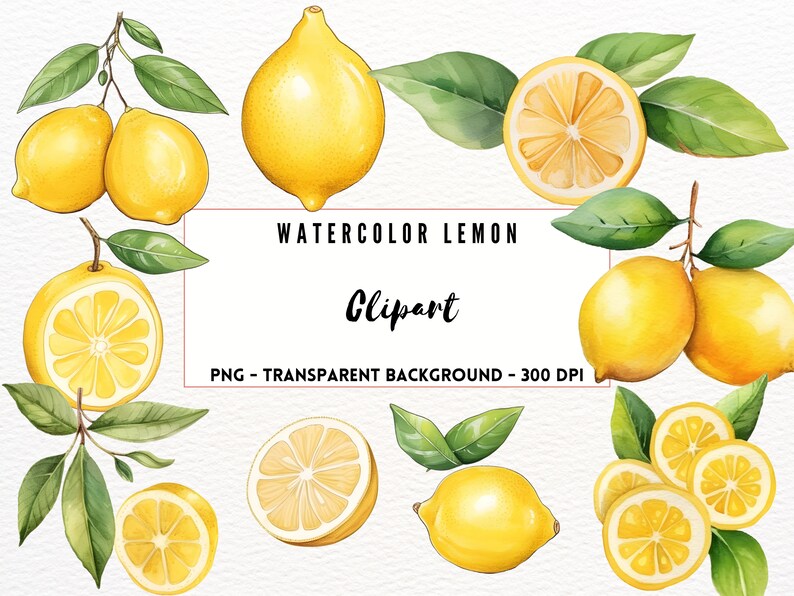 Lemon Clipart Watercolor Lemon Clipart PNG Lemon Clipart Bundle Lemon ...