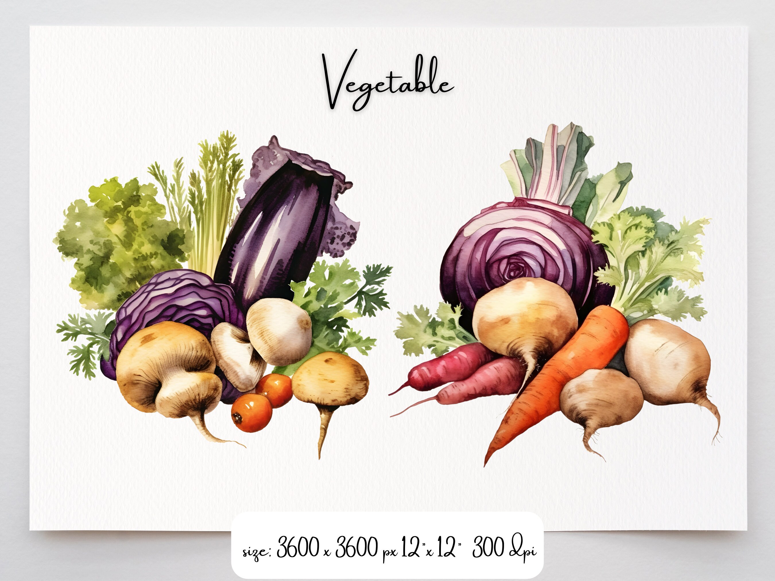 Garden Vegetables PNG Bundle, Vegetables Clipart, Nature PNG Farm ...