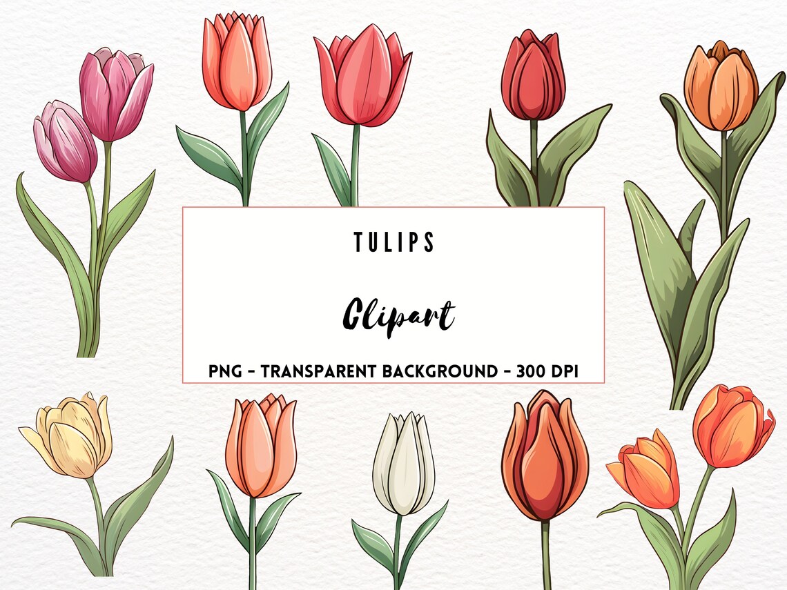 Tulips Flowers Clipart Set Colorful Floral Clipart Sublimation Flowers ...