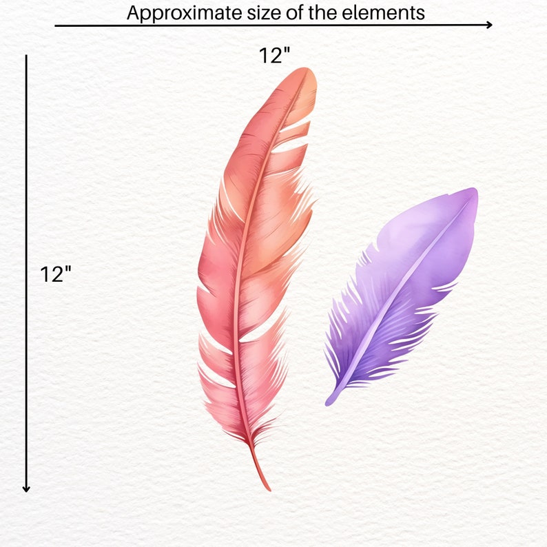 Feather Clipart Feather PNG Colorful Feathers Clipart Feather Printable Boho Plumes Clipart Bird ...