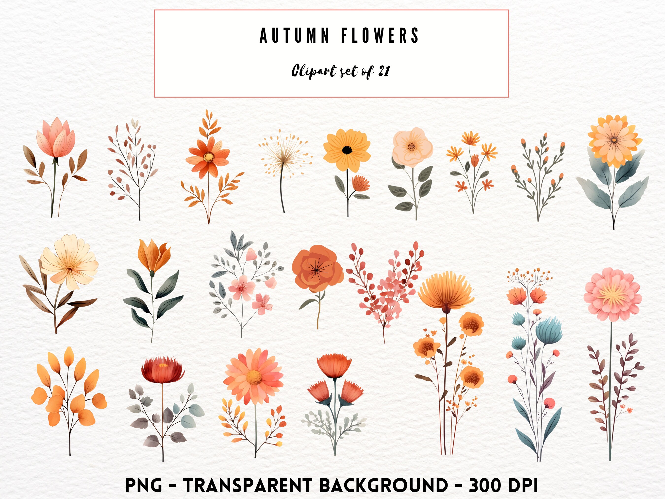 Autumn Flowers Clipart Bundle Fall Clipart PNG Floral Clipart - Etsy